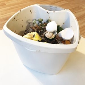 Turn Over A New Green Leaf