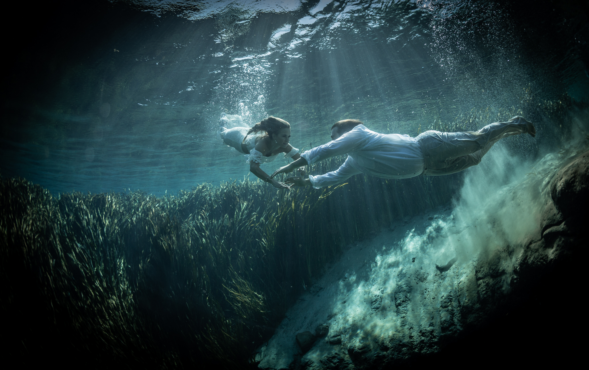 Dive Into The World Of Underwater Photography
