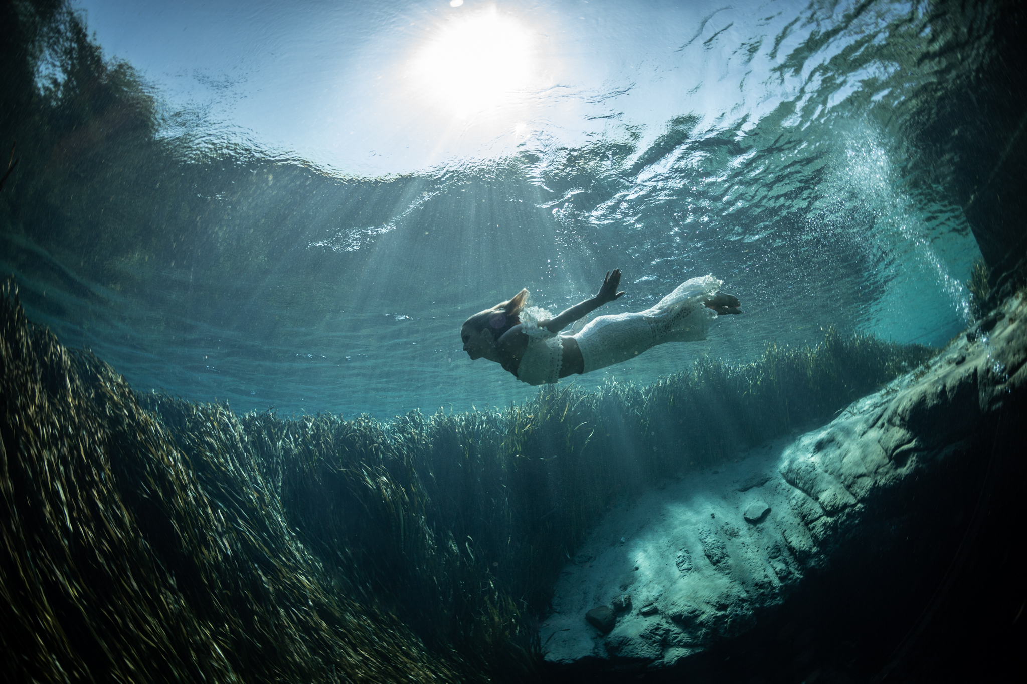 Dive Into The World Of Underwater Photography