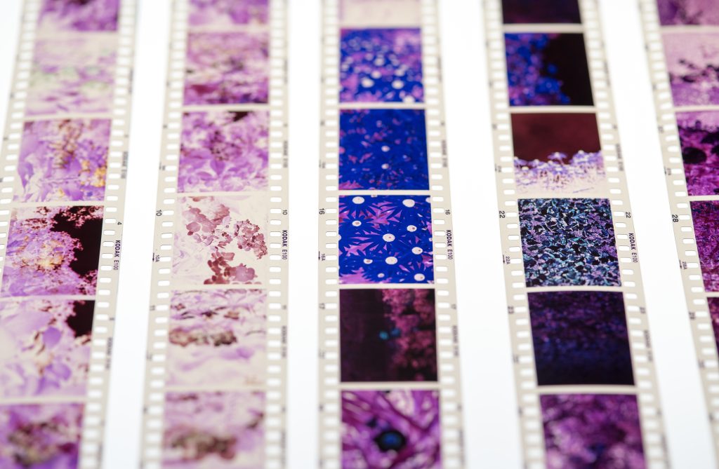 The Meditative Magic Of Analog Photography